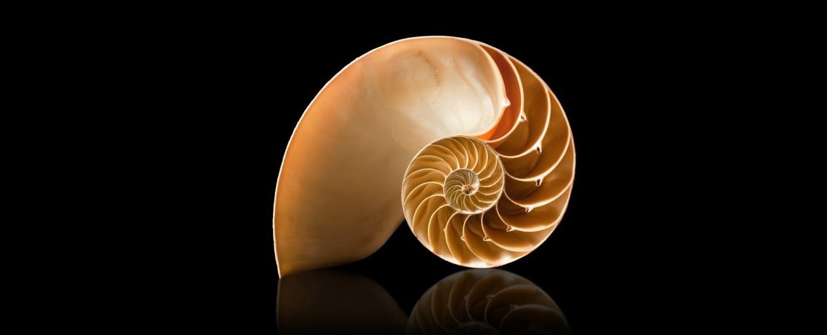 2026: The Golden Ratio of Global Image